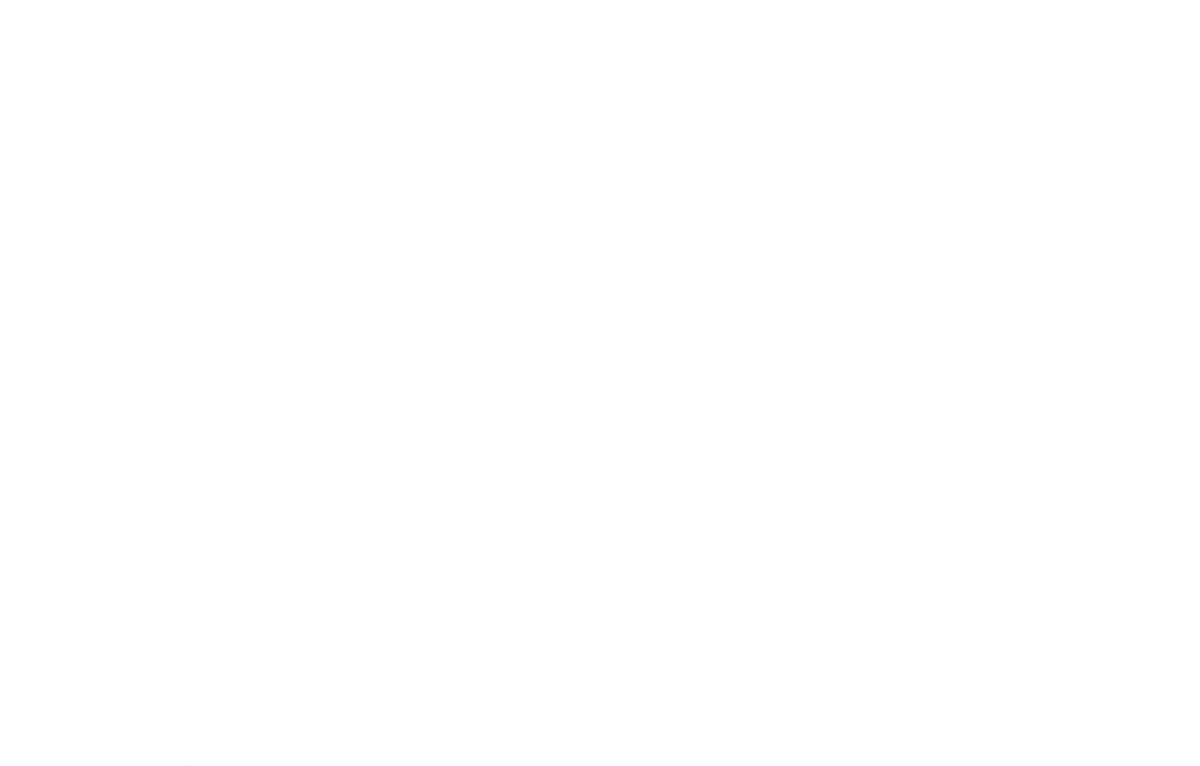 Dongfeng – Cronoscar